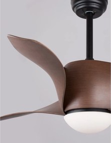 Matně černé/v tmavě přírodní barvě kovové LED stropní svítidlo se skleněným stínidlem Breeze – Nova Luce