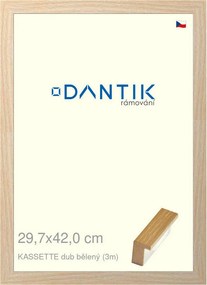DANTIK rámeček 29,7x42 | KASSETTE dub bělený (Plexi Čiré)