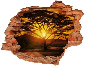Wallmuralia Díra 3D ve zdi nálepka Západ slunce Afrika 90x70 cm