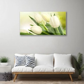 Obraz na skle Tulipány Květiny Rostlina 120x60 cm