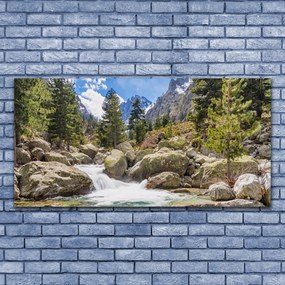 akrylový obraz Hora Les Kameny Řeka 120x60 cm