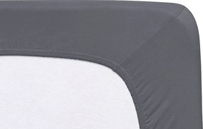 Florella Prostěradlo Avance Jersey Elastan Schiefer, 90-100x200-220 cm