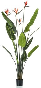 Emerald Umělá Strelitzia 4 rostliny v květináči 150 cm, Emerald 435917 HangarStore.cz