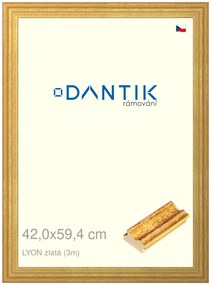 DANTIK rámeček 42x59,4 | LYON zlatá (Plexi Čiré)