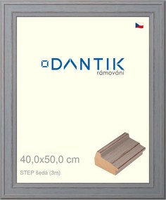DANTIK rámeček 40x50 | STEP šedá (Sklo Čiré)