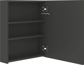LED koupelnová skříňka se zrcadlem antracitová 50 x 14 x 60 cm 326487