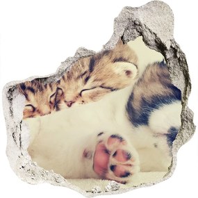 Wallmuralia Díra 3D fototapeta na stěnu Dvě kočky a pes 75x75 cm