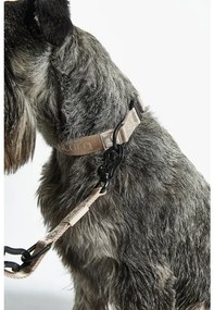 Obojek pro psa MiaCara Modena béžový Velikost: S/SM - 30 - 45 cm