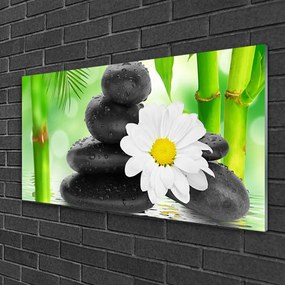 Obraz na skle Bambus Kameny Zen Květ 140x70 cm