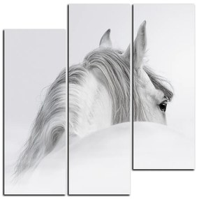 Obraz na plátně - Andaluský kůň v mlze - čtverec 3219C (105x105 cm)