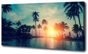 Wallmuralia Foto obraz na plátně Západ slunce palmy 100x50