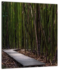 Obraz - Mezi bambusy (30x30 cm)