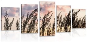 5-dílný obraz tráva při zapadajícím slunci - 200x100 cm