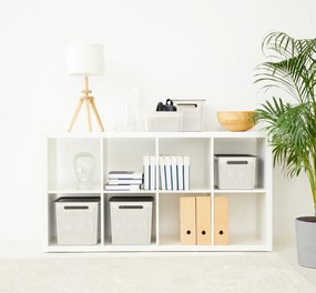 Rotho Úložný box s víkem a s madly BRISEN 16l, 36x26,2x21cm, bílý