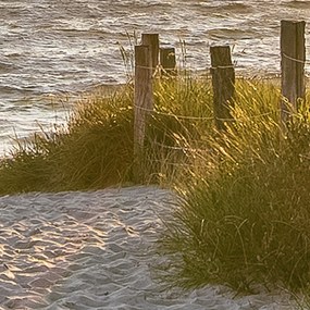 Malvis Fototapeta západ slunce pláž Vel. (šířka x výška): 504 x 310 cm