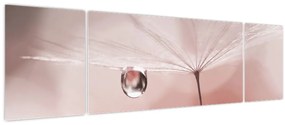 Obraz - Kapka rosy (170x50 cm)