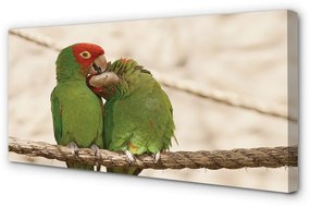 Obrazy na plátně zelené papoušci 120x60 cm