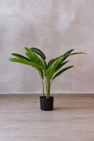 Umělá strelicie v květináči NICOLA, plast, výška 85 cm, zelená