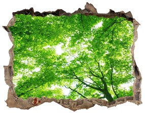 Wallmuralia Samolepící nálepka fototapeta Zelený les 95x64 cm