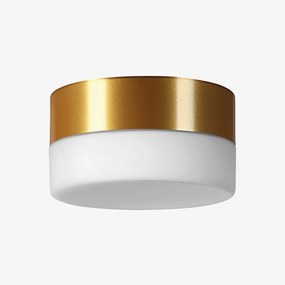 Přisazené svítidlo v kompaktním designu Nomia  Přisazené svítidlo v kompaktním designu Nomia Barva: Zlatá, Průměr: 140 mm, Teplota chromatičnosti /…