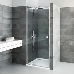 Roth Elegant Neo Line sprchové dveře 100 cm jednokřídlé brillant transparent BI PF2/1000_BI SET_Black Koupelny Bernold