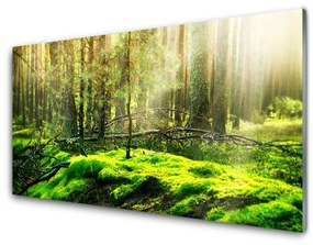 Obraz na skle Mech Les Příroda 120x60 cm