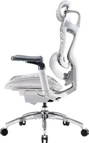 Sihoo DORO-C300-PRO bílá / Kancelářská židle / síťovina