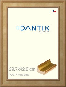 DANTIK rámeček 29,7x42 | TOOTH malá zlatá (Plexi Čiré)