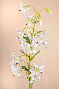 Paramit Umělá mini lilie bílá 82 cm