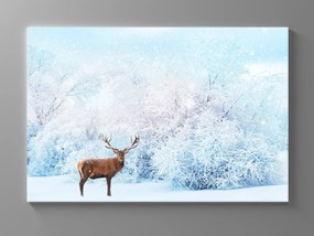 Liox Obraz Jelen v zimní krajině Rozměr: 60 x 40 cm