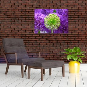 Obraz květiny (70x50 cm)