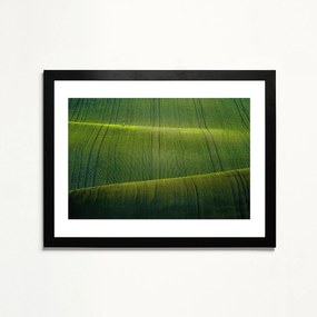 Vojta Herout | Moravian Manchester Rám: Černý, Velikost: 40 x 60 cm