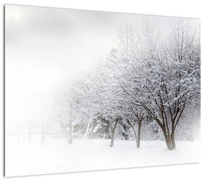 Skleněný obraz - Zimní alej (70x50 cm)