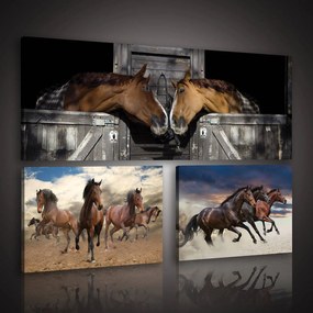 Postershop Obraz na plátně: Koně (1) - set 1ks 80x30 cm a 2ks 37,5x24,8 cm