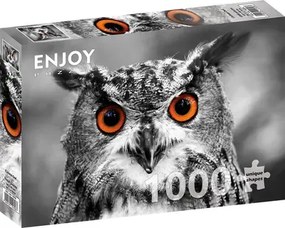 ENJOY Puzzle Zvědavá sova / 1000 dílků / od 14 let