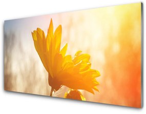 akrylový obraz Slunečnice 100x50 cm