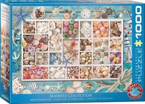 EUROGRAPHICS Puzzle Lauřina sbírka mušlí / 1000 dílků / 68 × 48 cm