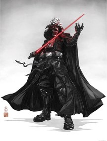 Komar Plakát Star Wars Vision Samurai Dark Lord 30 x 40 cm