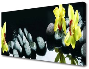 Obraz na plátně Květ Kameny 120x60 cm