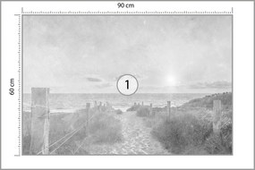 Fototapeta Letní Západ Slunce Vybledlé Vintage Černobílé Samolepící tapety 208x146