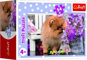 Trefl Minipuzzle 54 dílků Zvířátka - mláďata 4 druhy v krabičce 9x6,5x4cm 40ks v boxu
