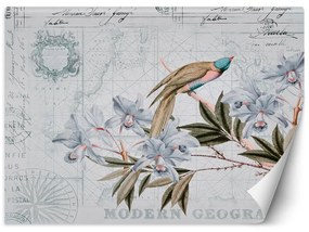 Gario Fototapeta Pták na modré větvi - Andrea Haase Materiál: Vliesová, Rozměry: 200 x 140 cm