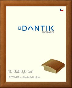 DANTIK rámeček 40x50 | LEDVINKA světle hnědá (Sklo Čiré)
