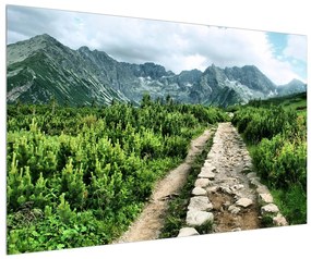 Obraz horské krajiny (120x80 cm)