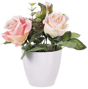 Růžičky v plastovém bílém obalu, barva růžová SG7335 PINK