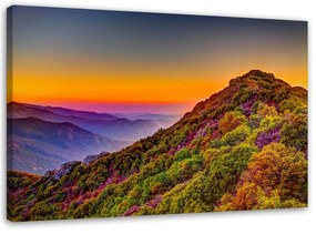 Gario Obraz na plátně Barevné kopce Rozměry: 60 x 40 cm