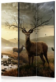 Paraván - Deers by mountain stream [Room Dividers]