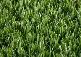 LANO Umělá tráva EASY LAWN CASTOR BARVA: Zelená, ŠÍŘKA: 4 m