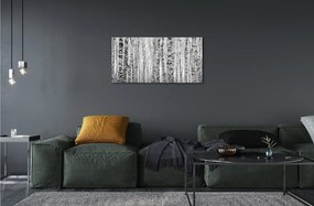 Obraz na skle Černá a bílá bříza 120x60 cm