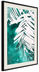 Artgeist Plakát bílá palma Velikosti (šířkaxvýška): 20x30, Finální vzhled: Černý rám s paspartou